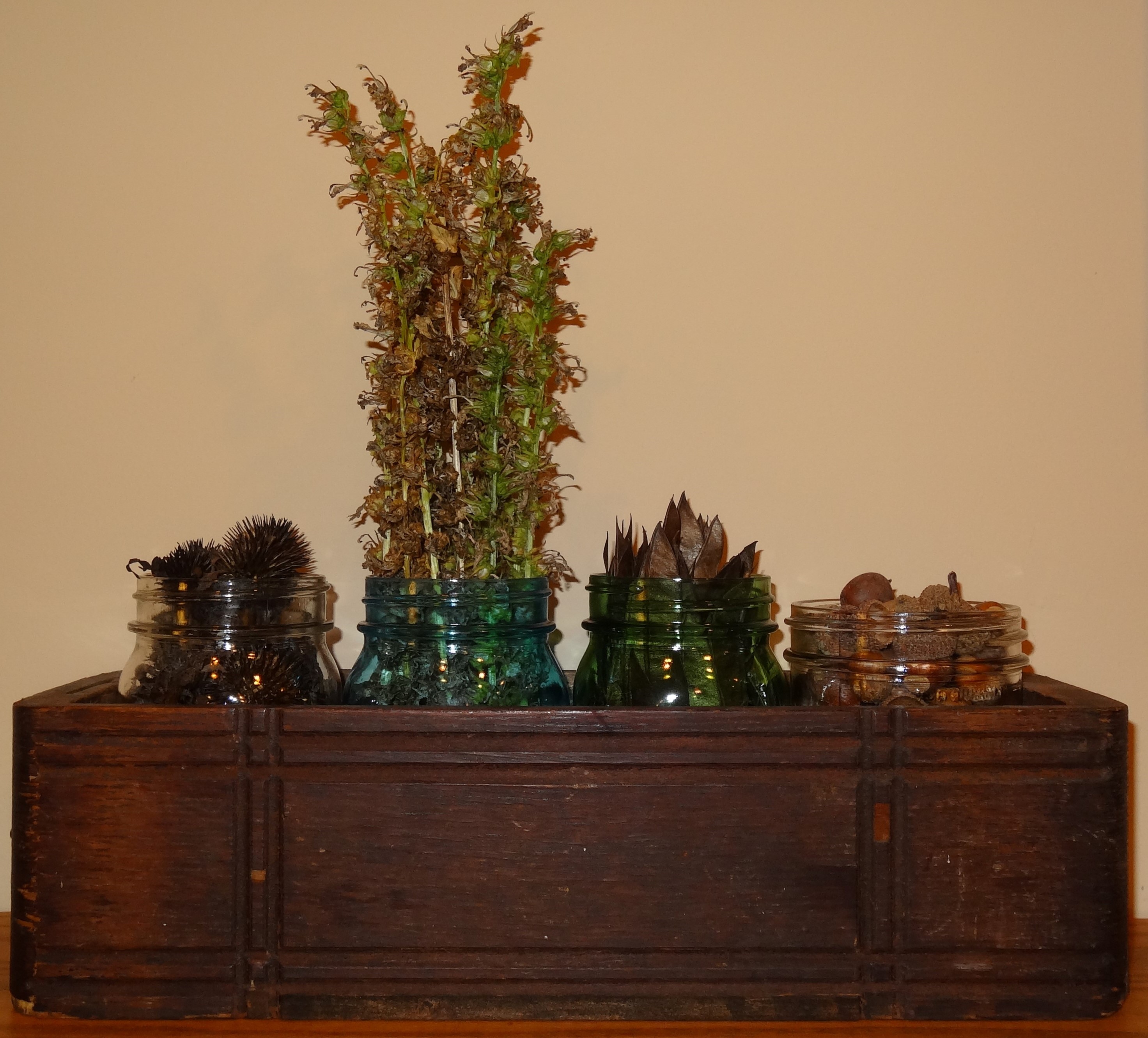 Fall seeds decoration | permie love